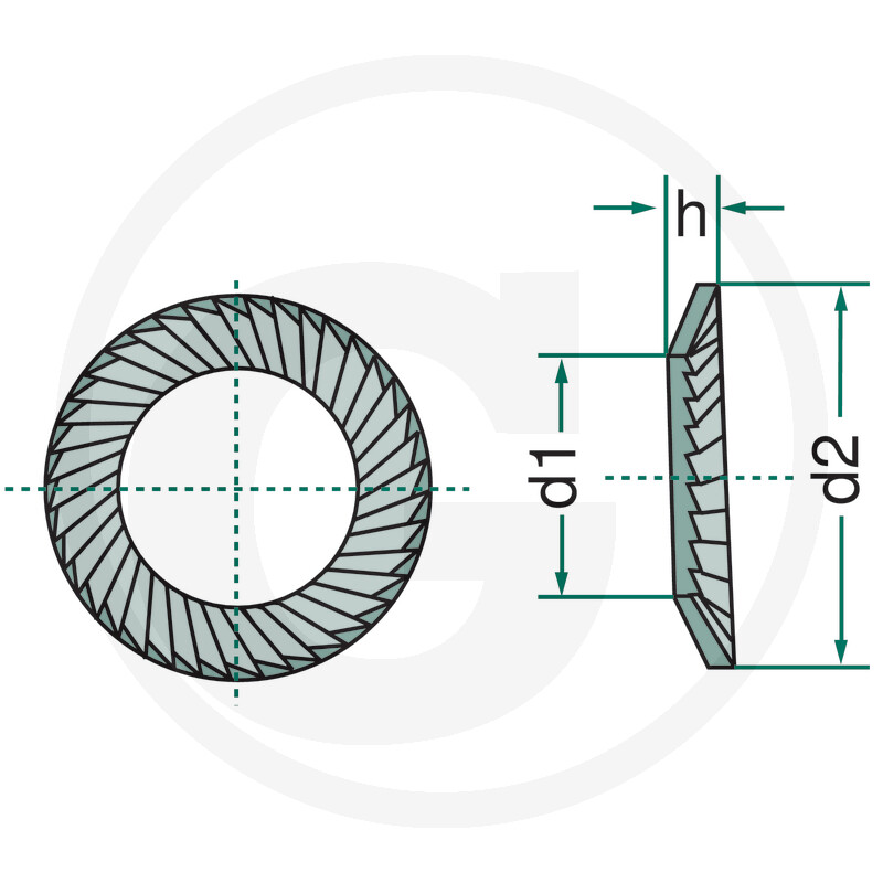 Sperrkantscheiben online kaufen